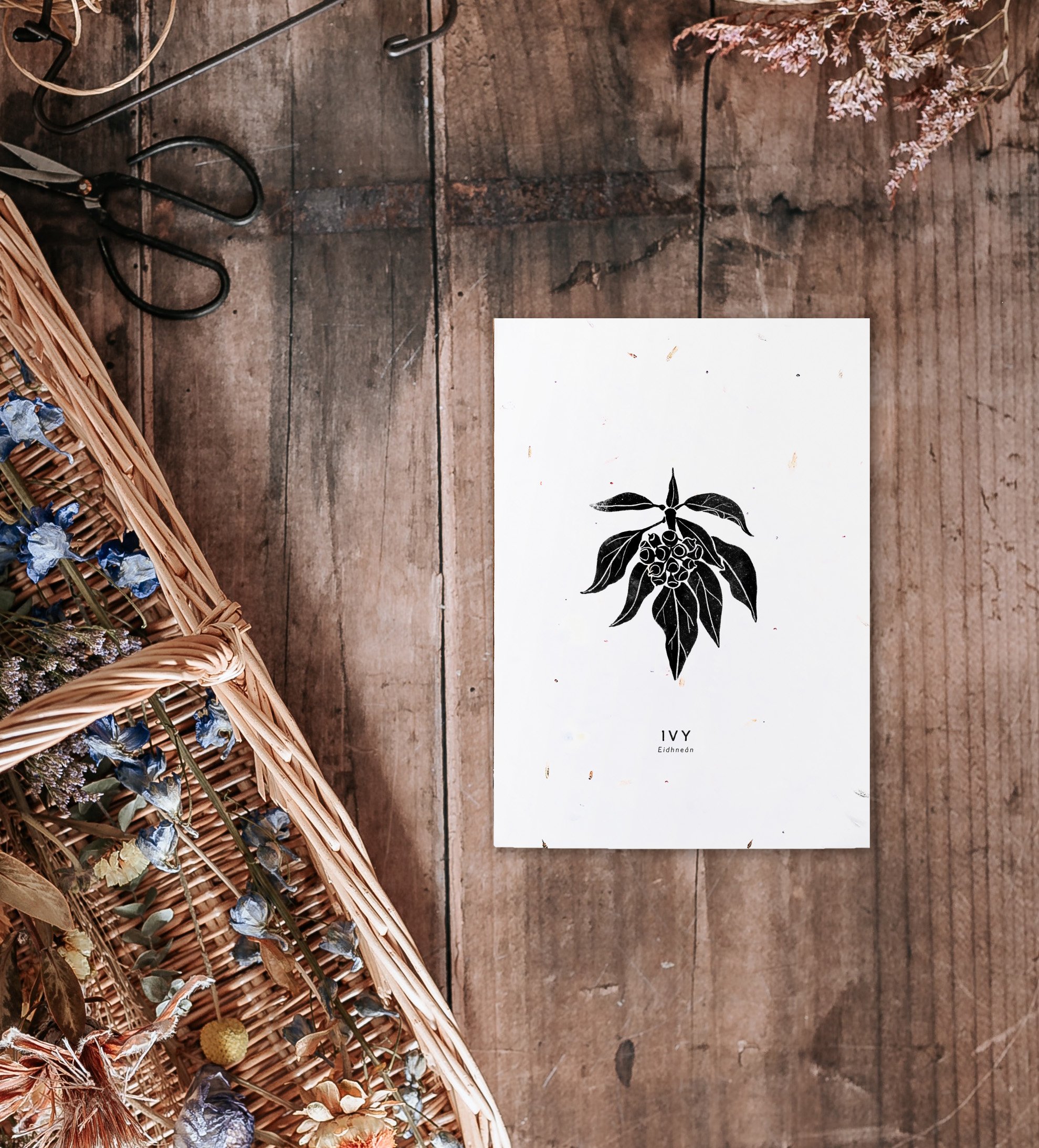Eco Friendly and Plantable Greeting Cards — Blaithin