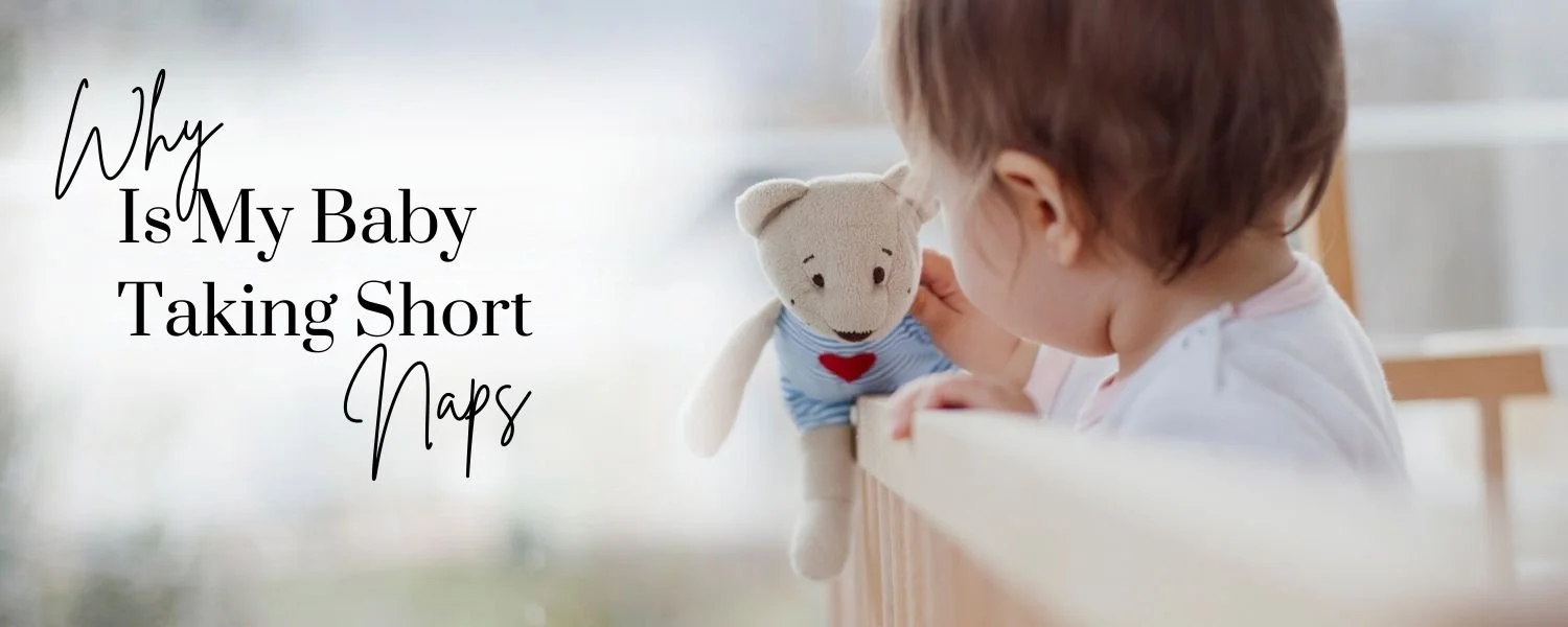 5 Key Reasons Why Your Baby is Taking Short Naps - Part 2 — Play Sleep ...