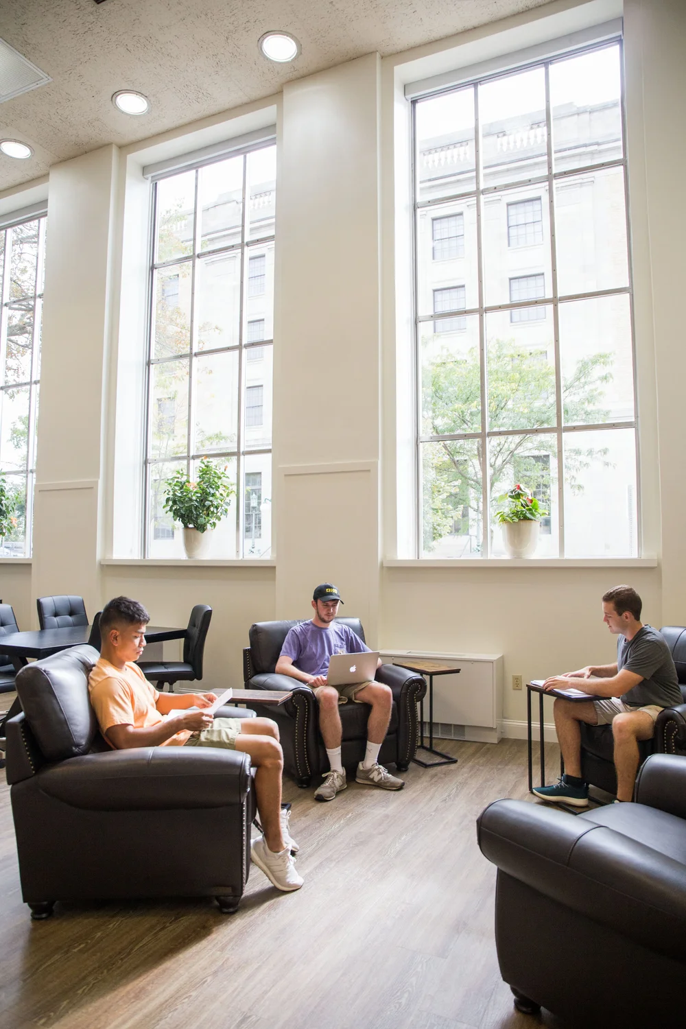 Open Discourse Coalition