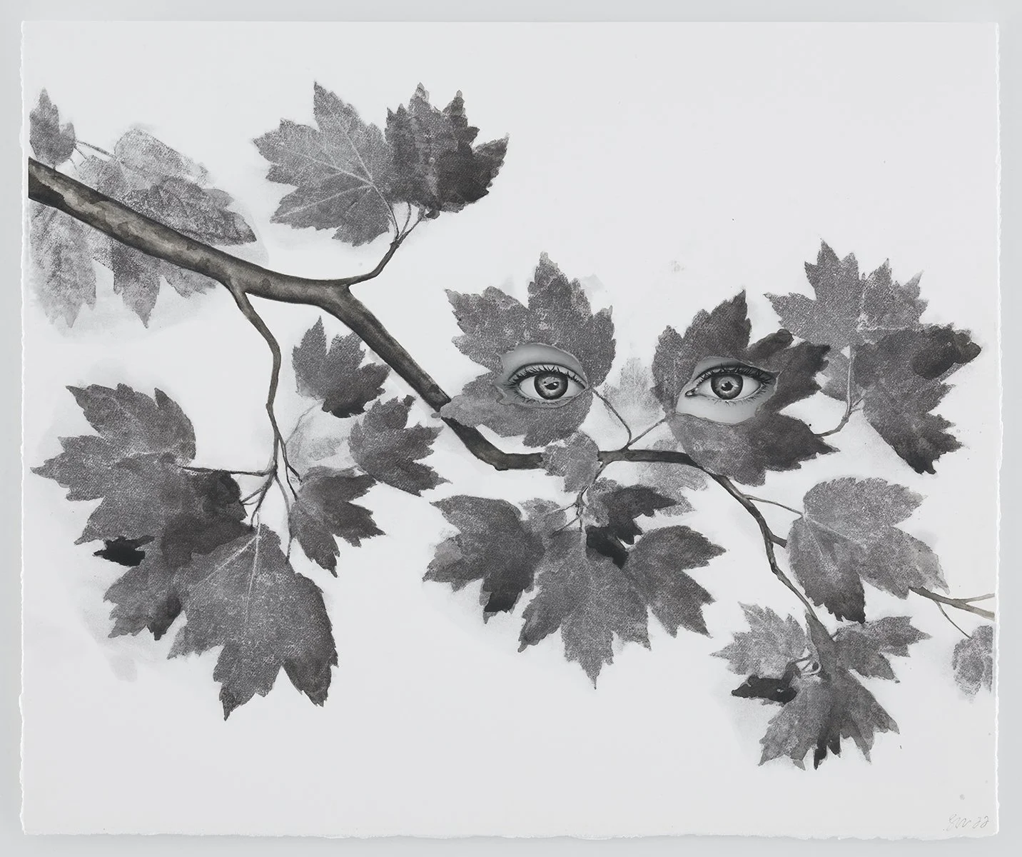 WORK ON PAPER — SEAN MELLYN