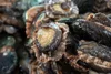 Live Abalone — Big Island Abalone