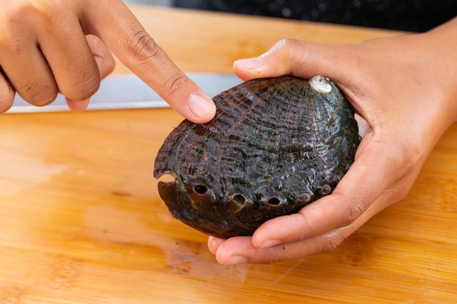 Abalone Preparation — Big Island Abalone
