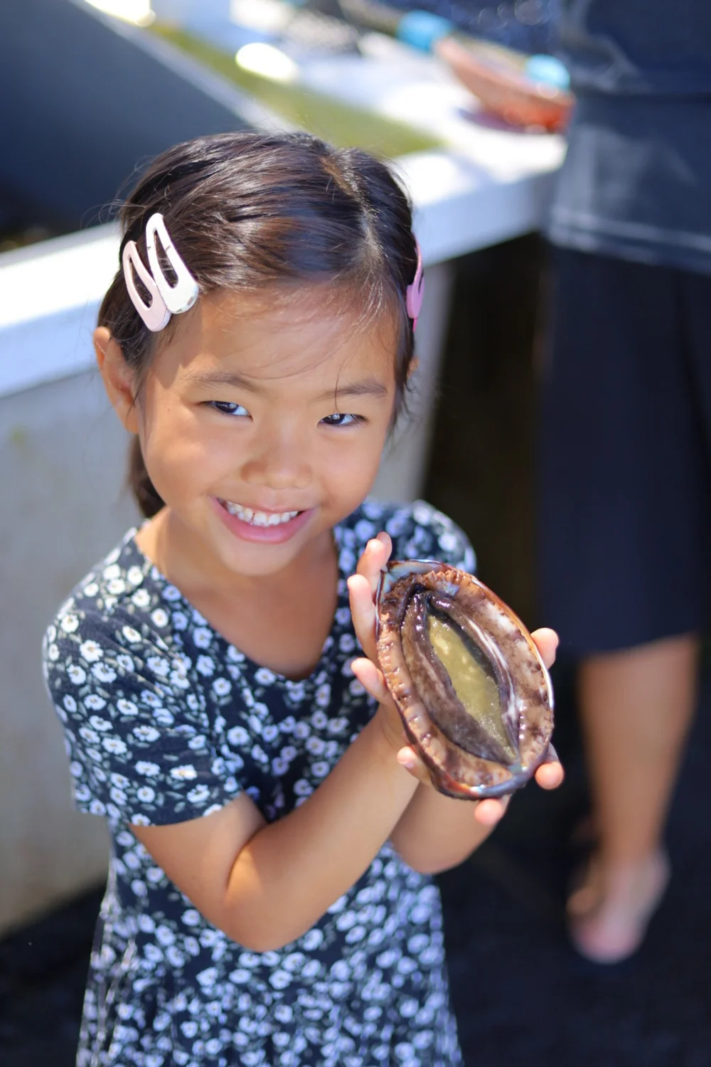 Abalone Farm Tours in Kailua-Kona — Big Island Abalone
