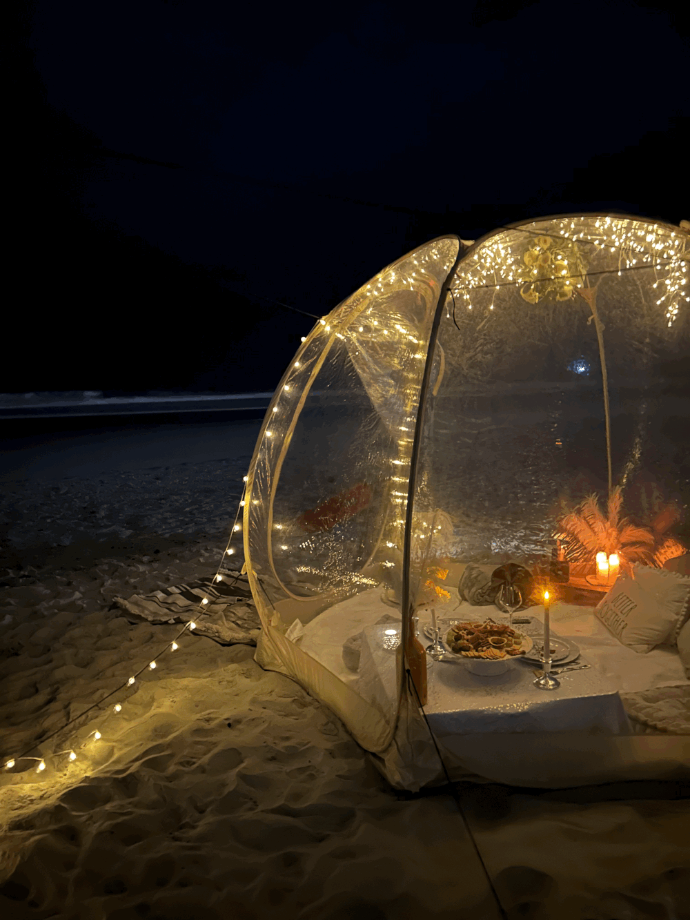 Romantic Beach Picnic Night