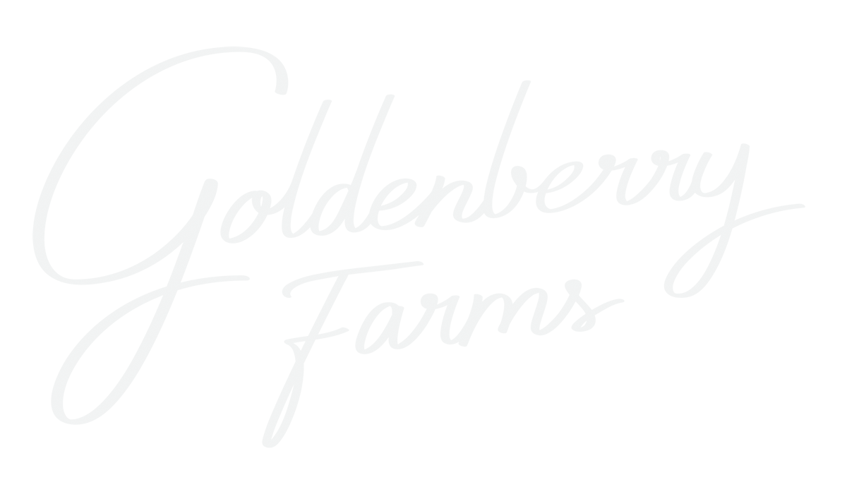 The Incredible Health Benefits of the Goldenberry — Goldenberry Farms