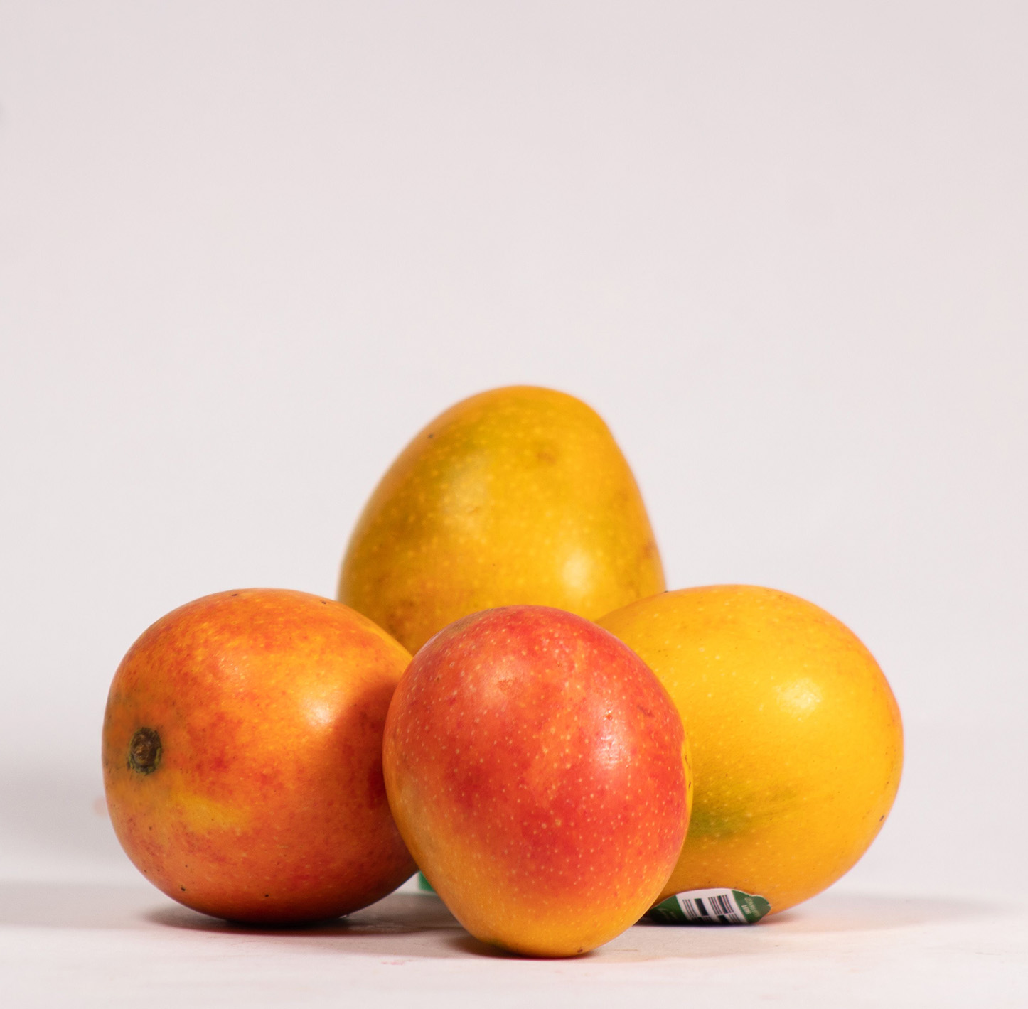 Sugar Mangos™ miniature mangos | Goldenberry Farms