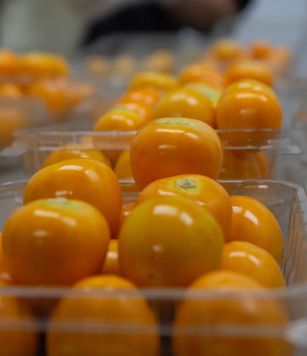 The Incredible Health Benefits of the Goldenberry — Goldenberry Farms