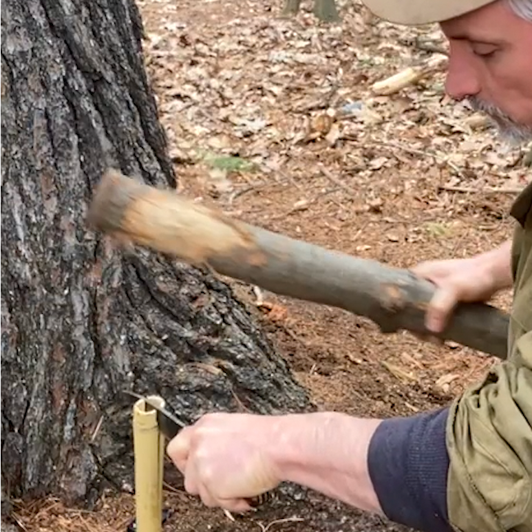 The bamboo fire saw friction fire method - Step-by-step guide — Dug ...