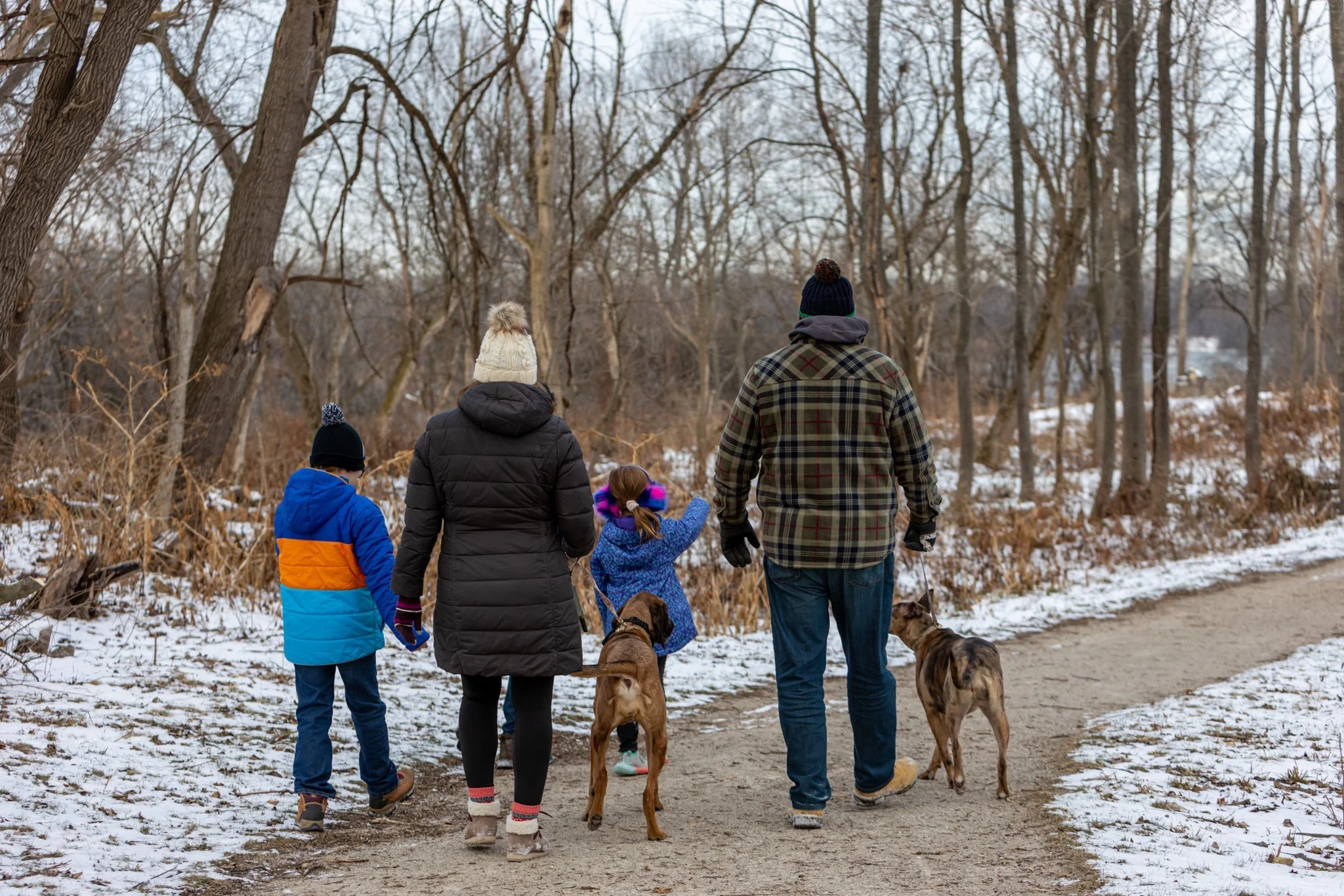 Live Better, Live Longer in Lemont — Lemont Downtown
