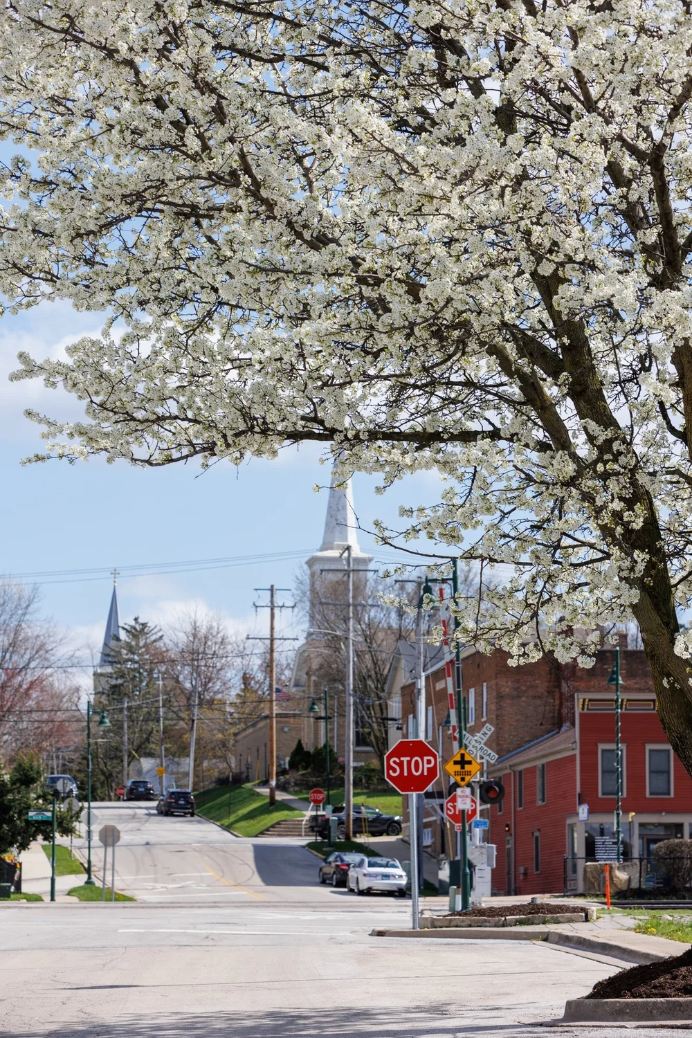 BLOG — Lemont Downtown