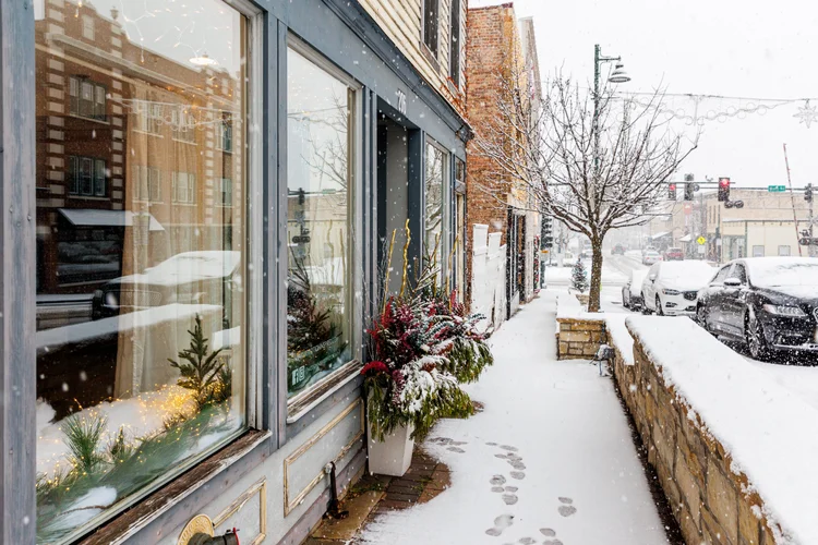 Lemont Downtown