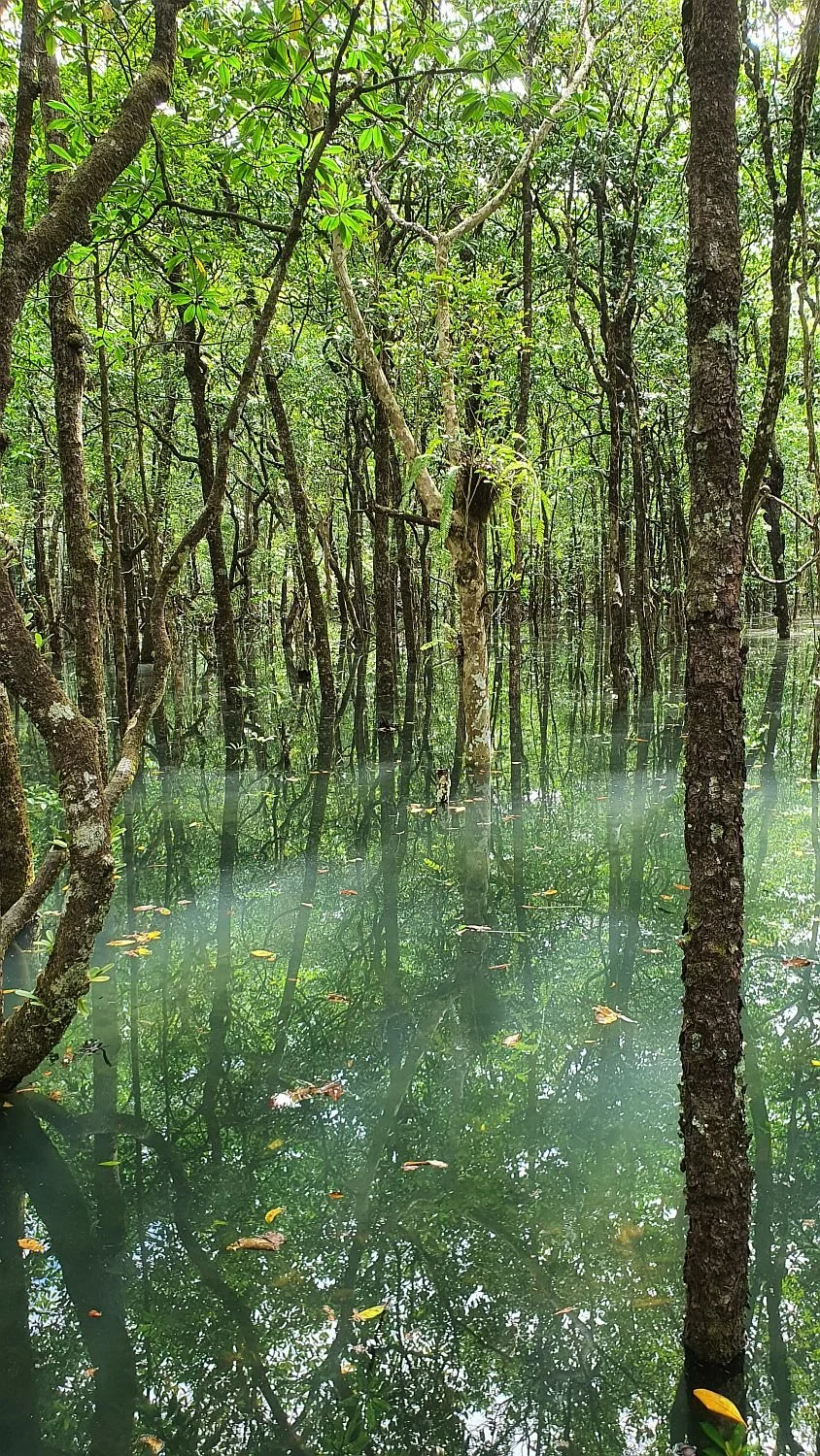 Hide Tide at Madja — Coffee in Cairns