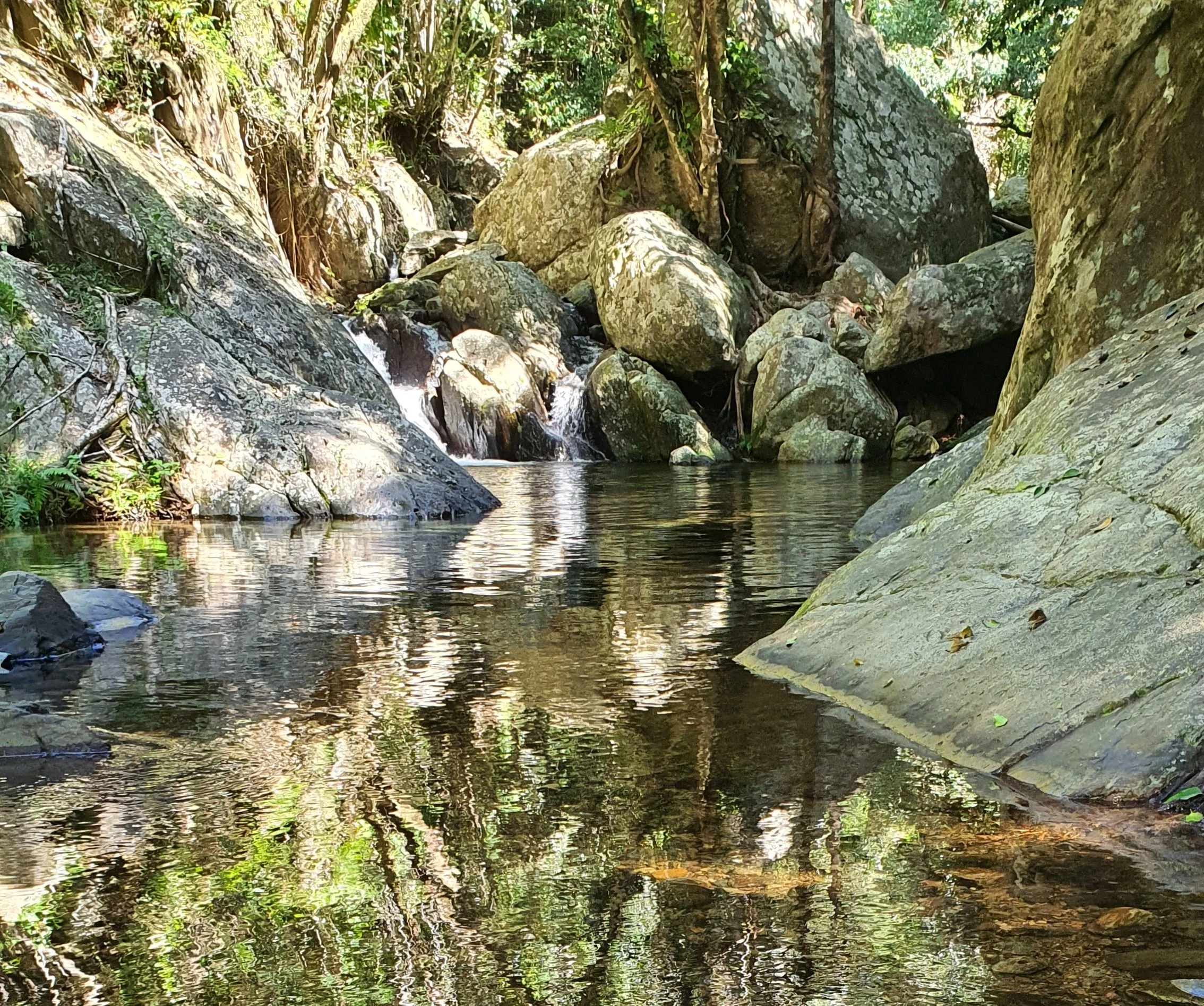 Behana Gorge trail and waterfalls — Coffee in Cairns