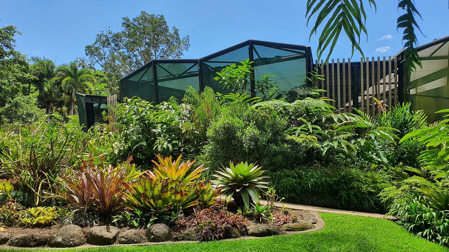 Cairns Botanic Gardens — Coffee in Cairns