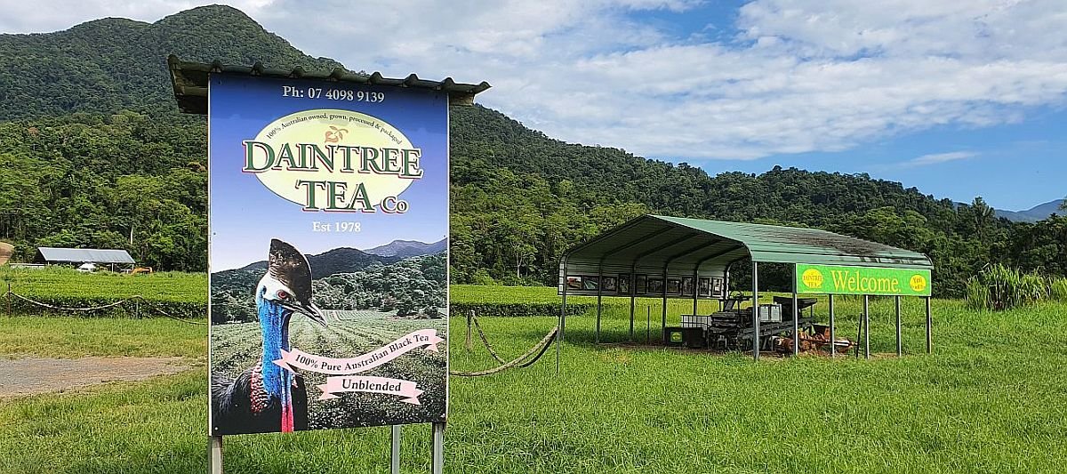 Cairns Business Directory — Coffee in Cairns