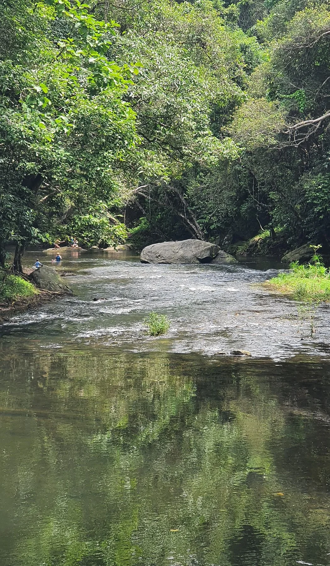 Freshwater Creek Trail Redlynch Valley Cairns — Coffee in Cairns