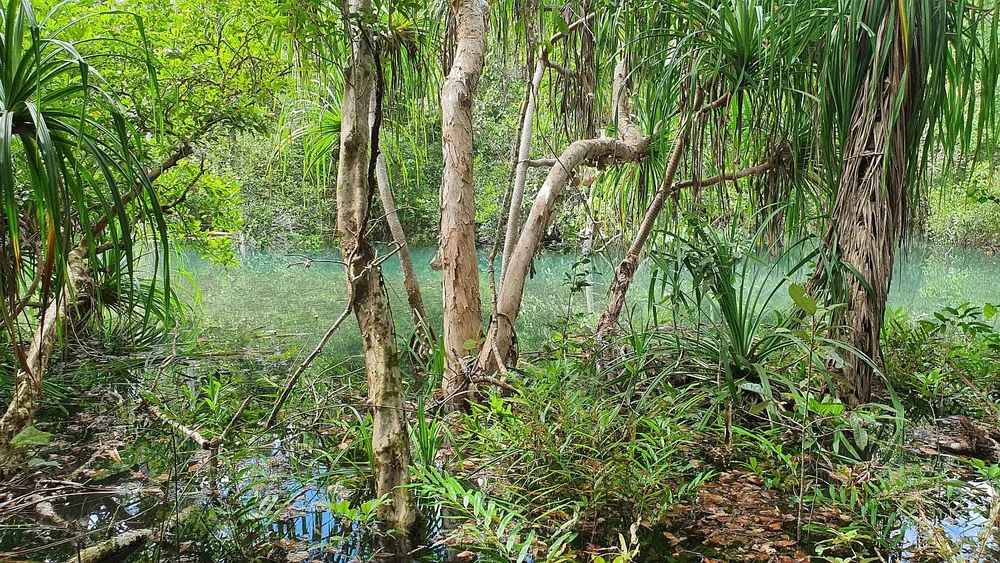 Hide Tide at Madja — Coffee in Cairns