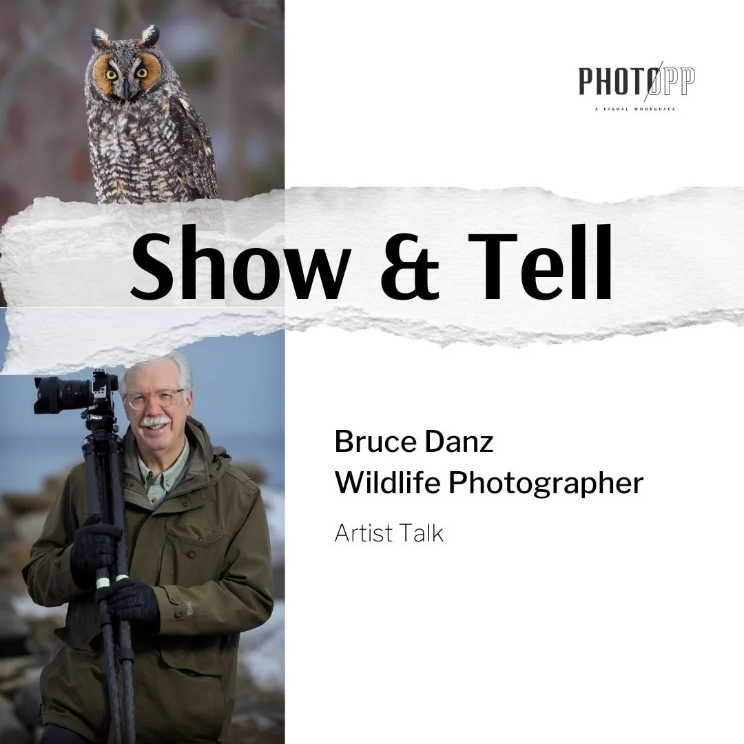 Show & Tell : Bruce Danz Wildlife Photographer — A Visual Workspace ...