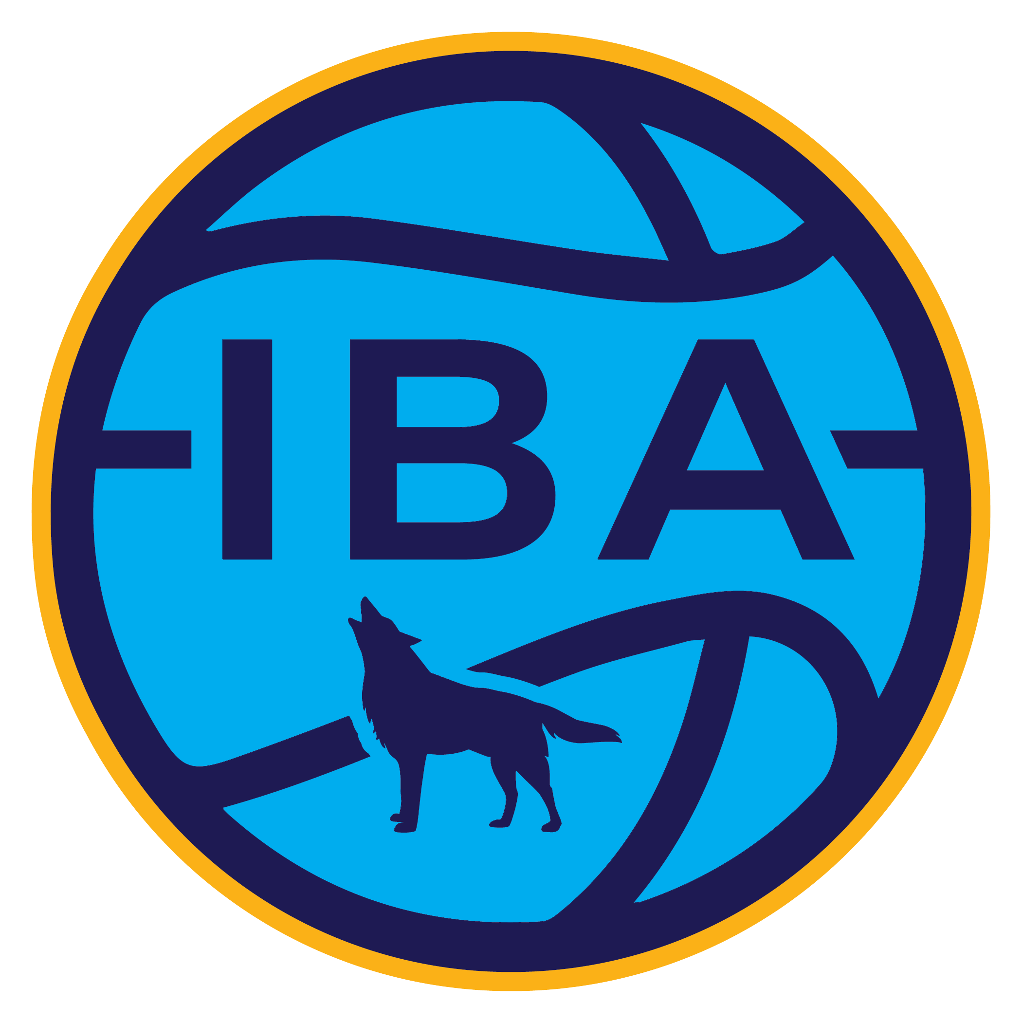 Basketball Training Skills Development | IBA | Atlanta, GA