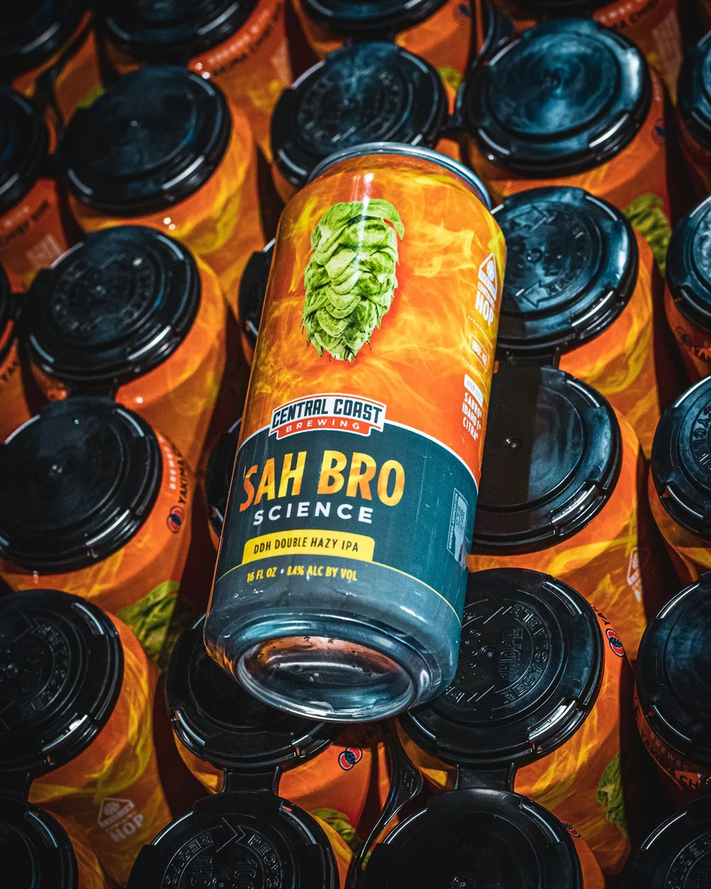 Beer | Explore Our Craft Brews — Central Coast Brewing