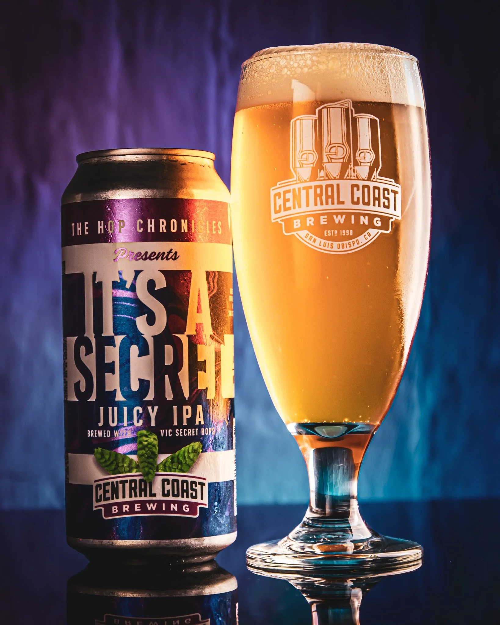 Beer | Explore Our Craft Brews — Central Coast Brewing