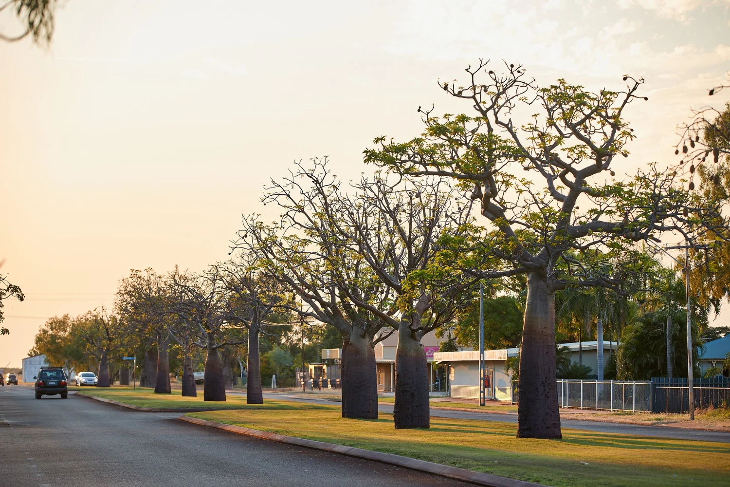 Shire of Derby/West Kimberley — Derby Chamber of Commerce
