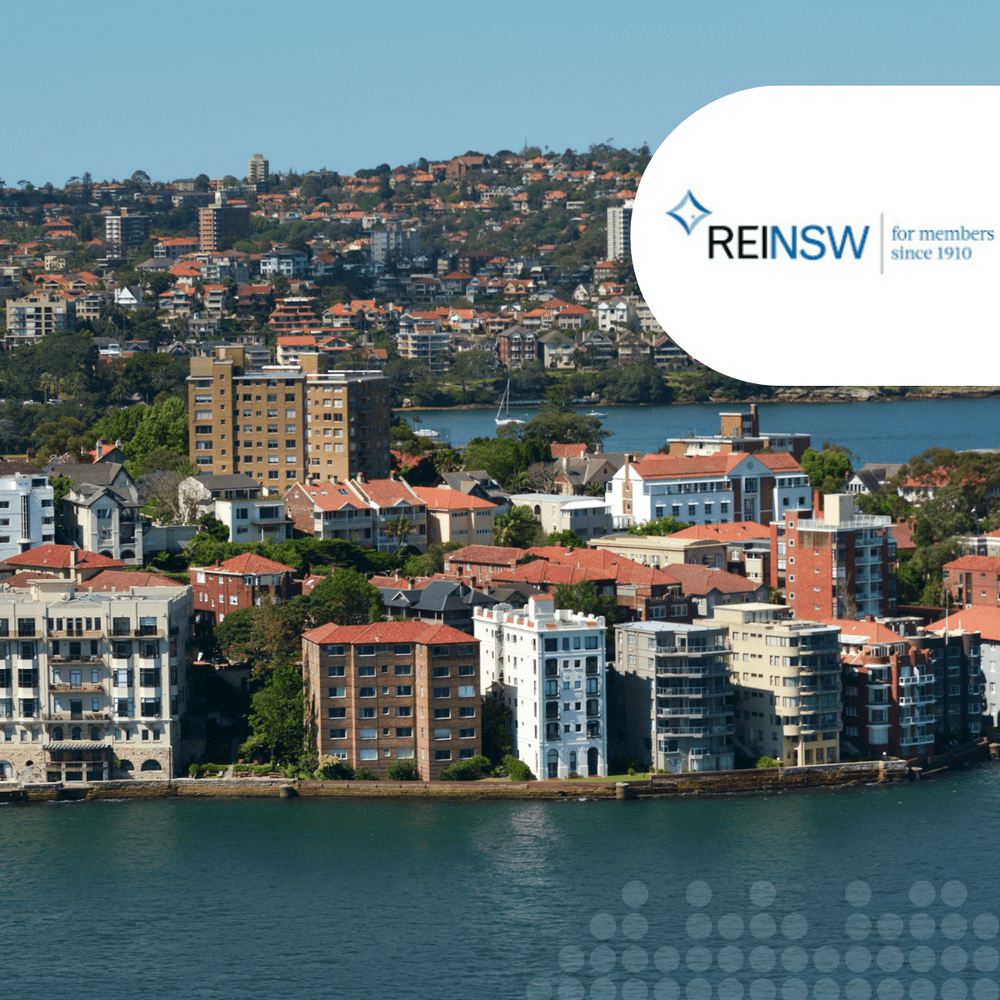 Monthly rental data supports real estate policy influence in New South ...