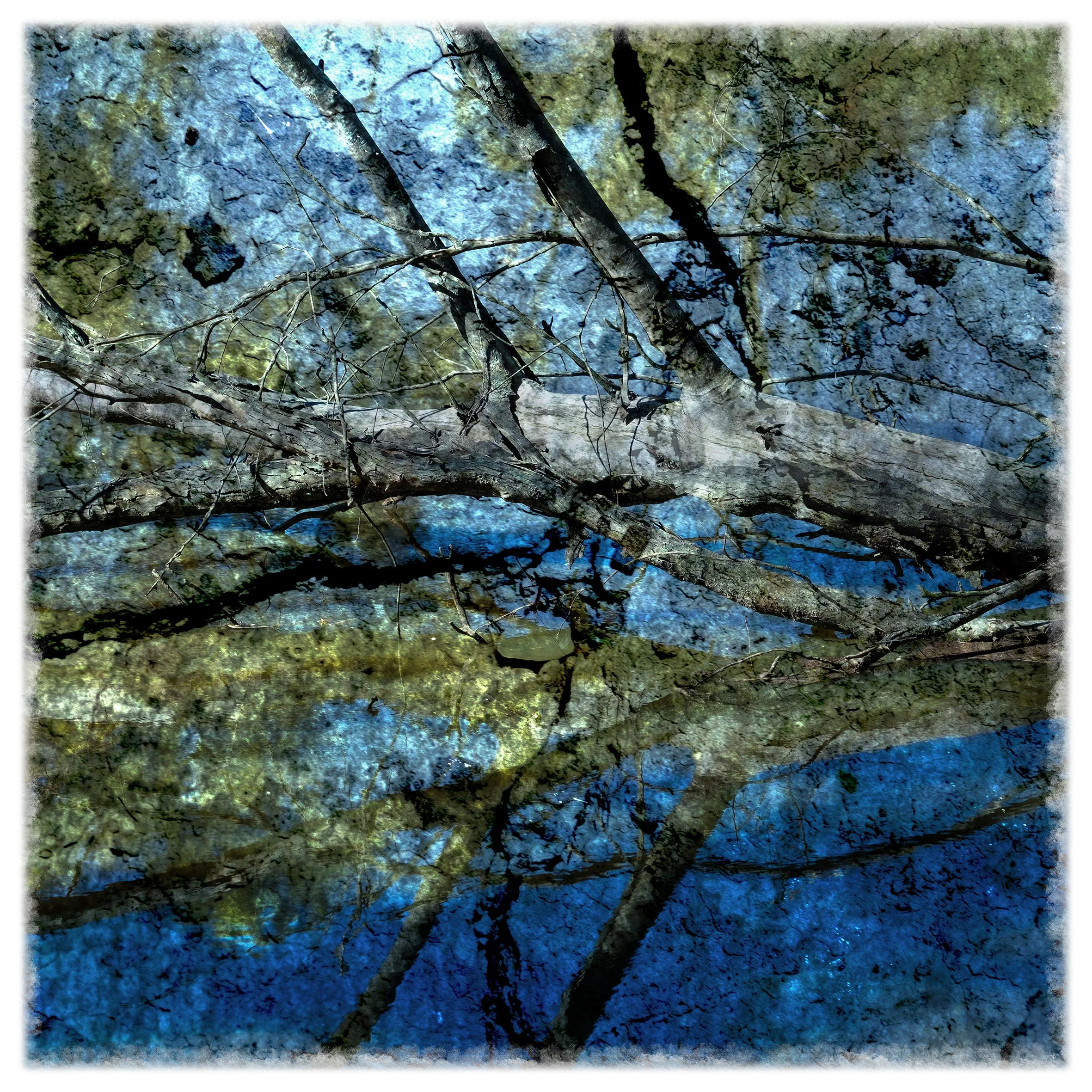 John Donegan