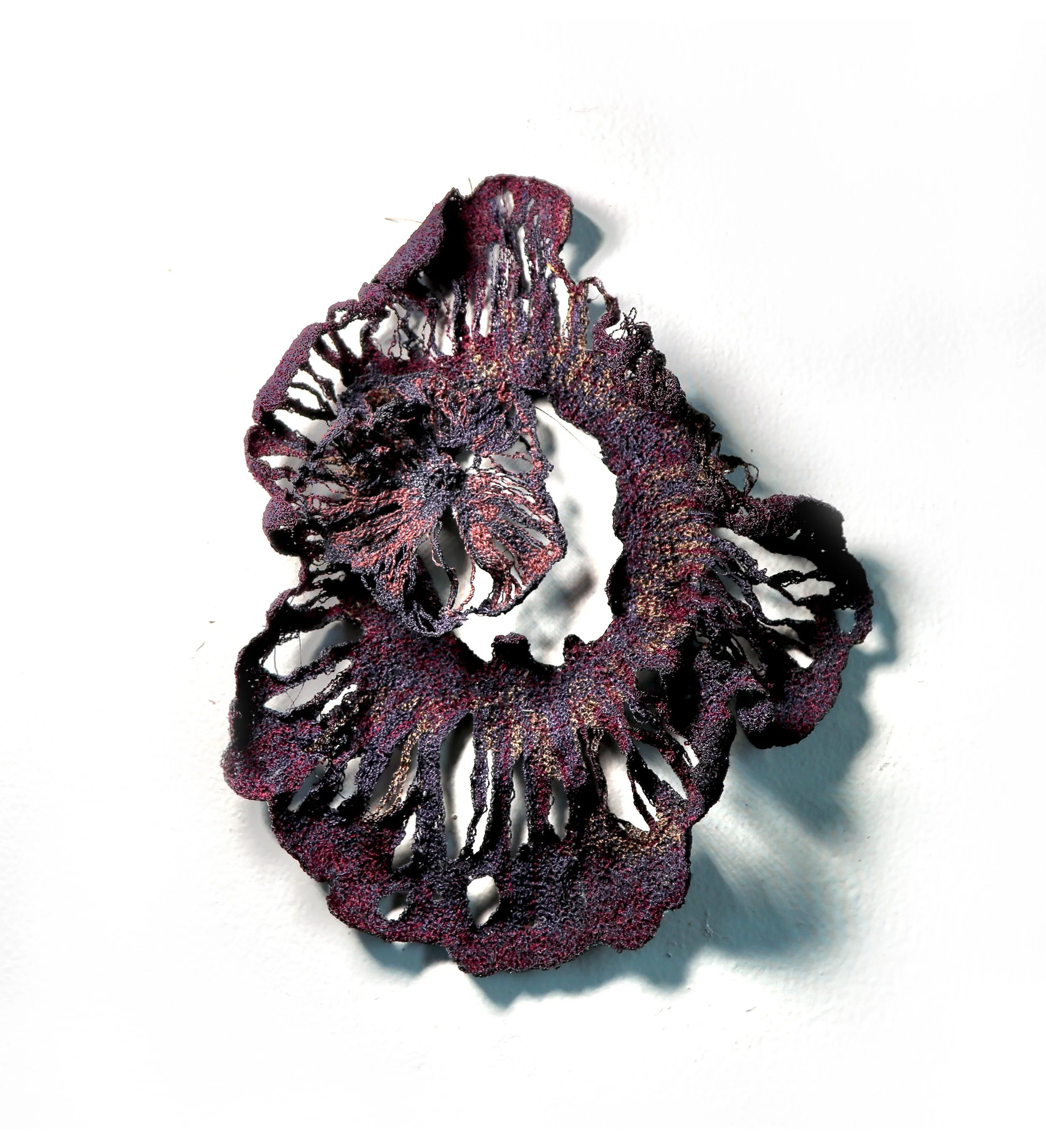 Susannah Collins | Lichenform: IV