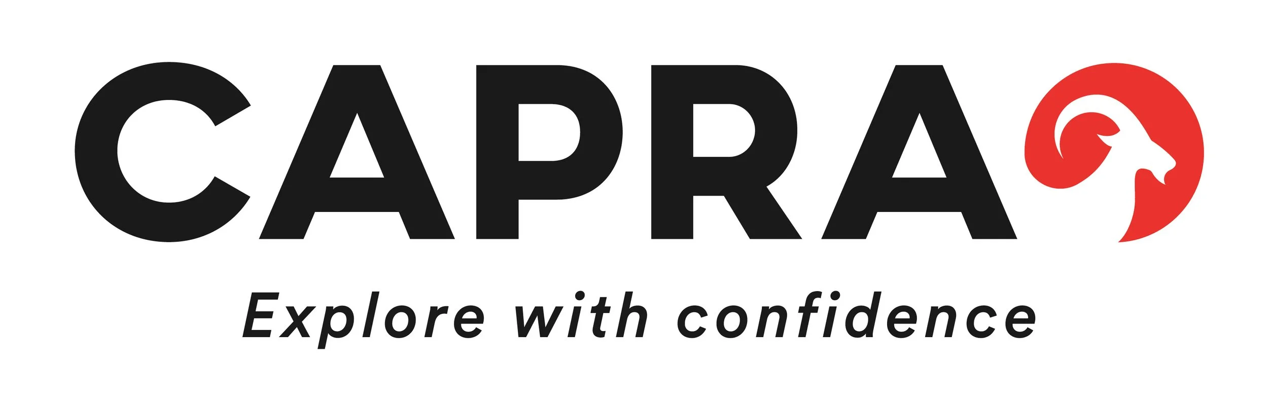 21km — Wild Mount Trail Run