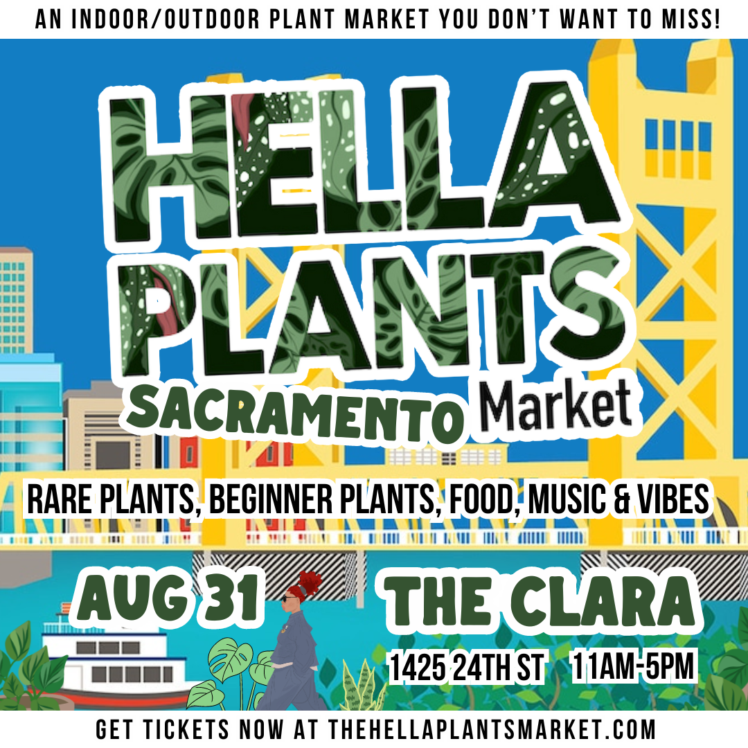 Store 2 — Hella Plants Market