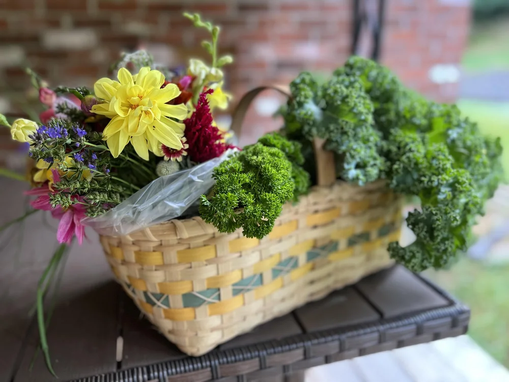 Connecticut Valley Baskets and Fine Art