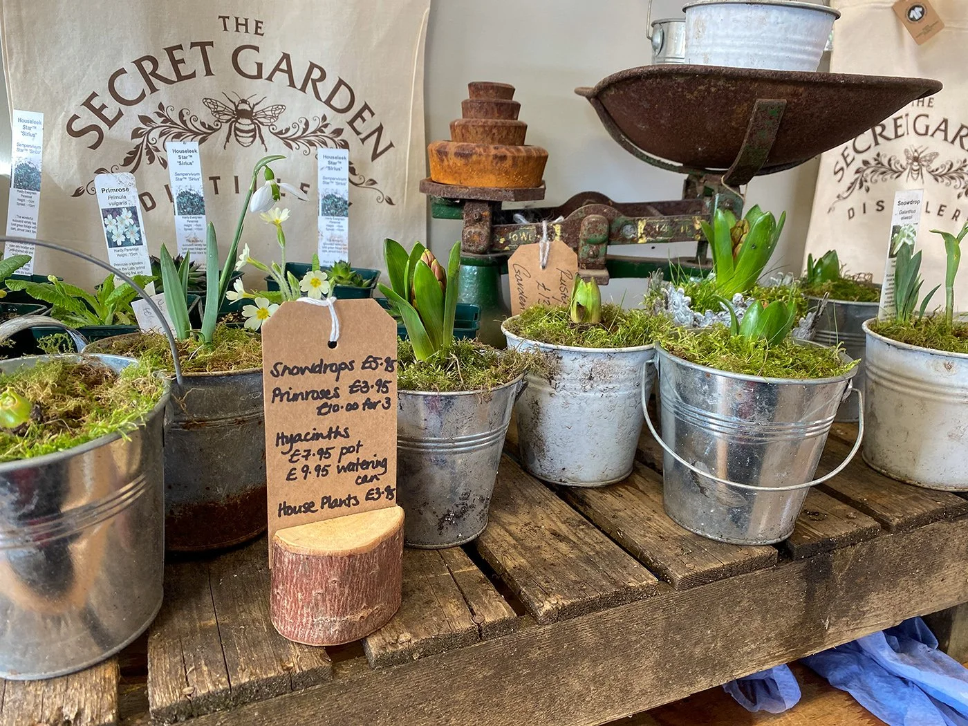 Secret Herb Garden | Garden Centre, Cafe, Shop and Venue