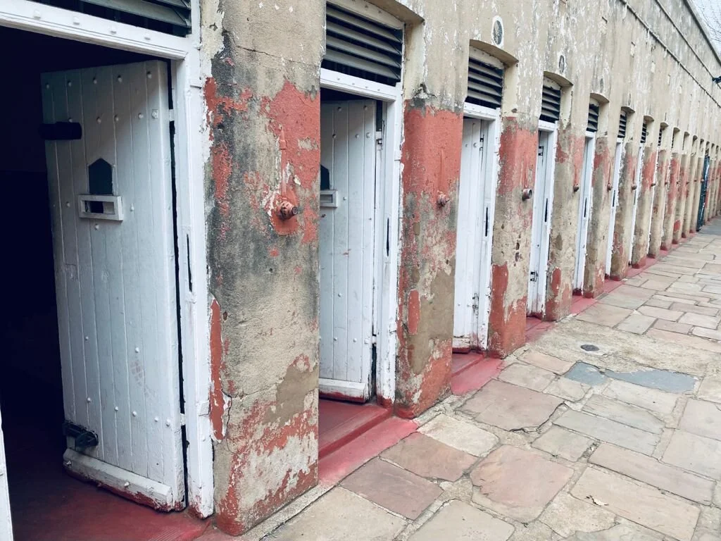 Blog — African Law Matters