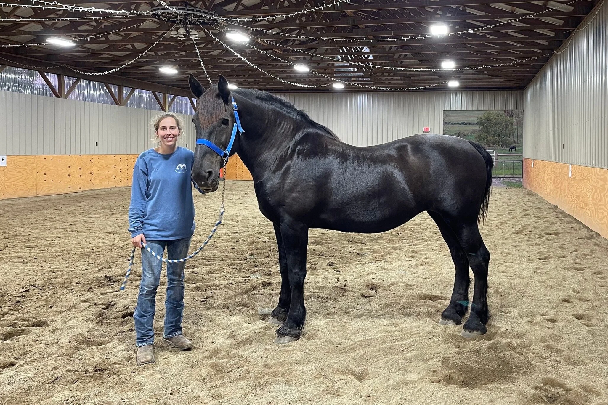 Team 1 — Sugar Run Stables