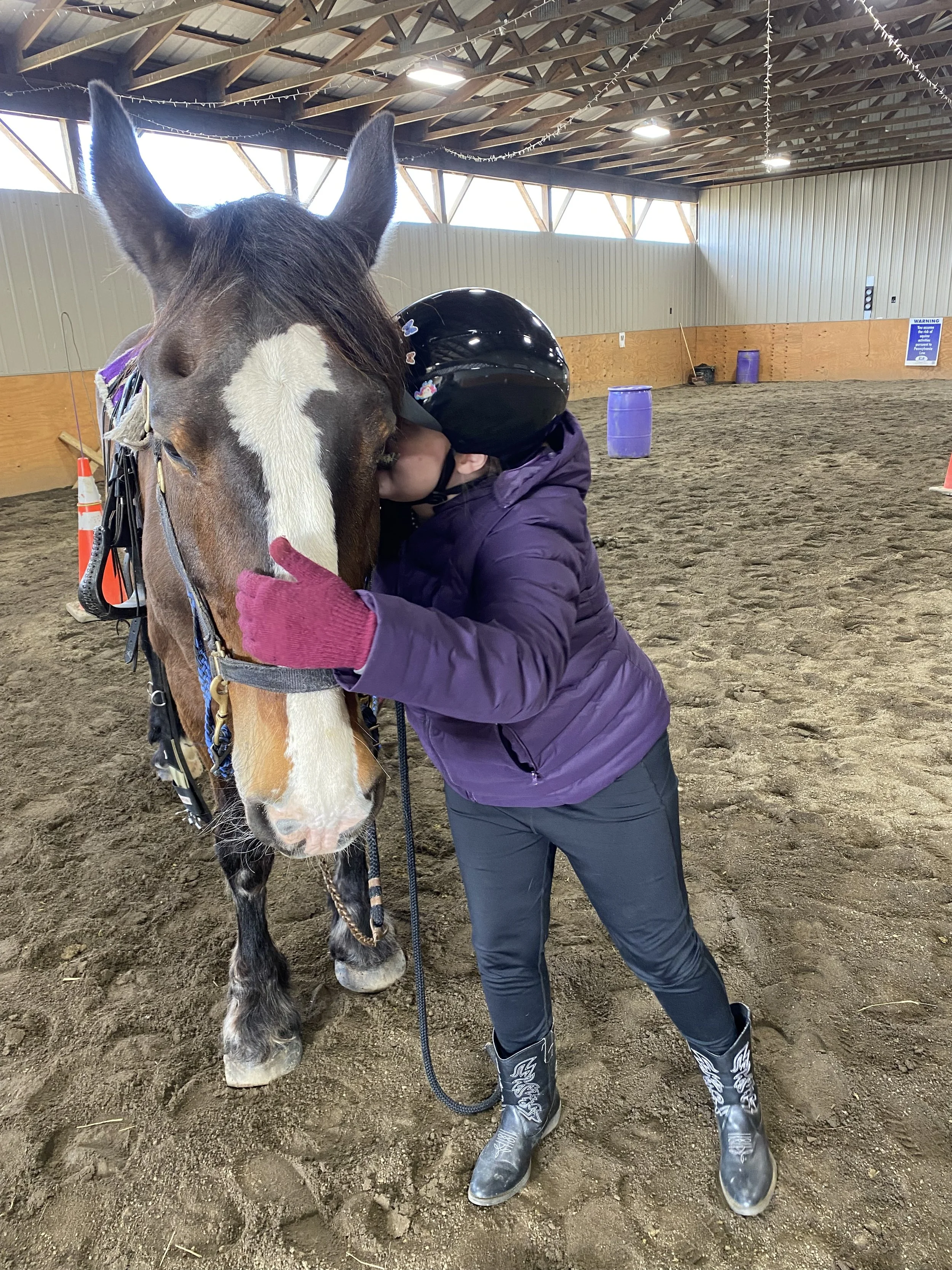 Volunteer — Sugar Run Stables