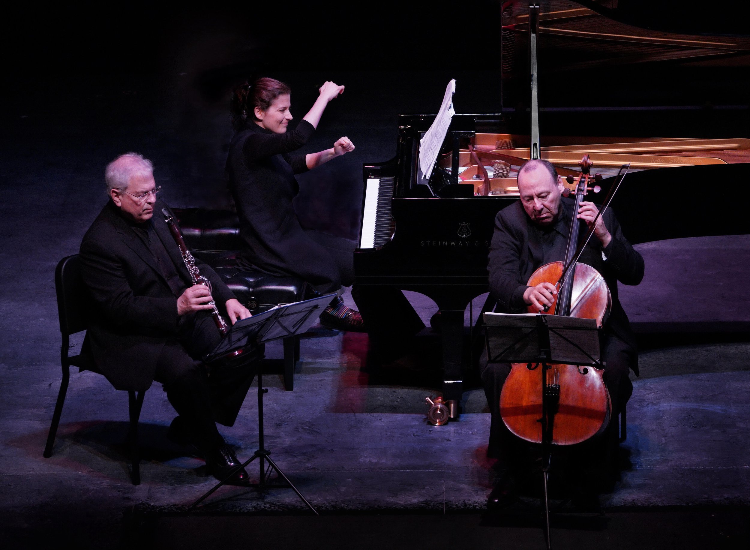 Polonsky-Shifrin-Wiley Trio Press Kit — Besen Arts