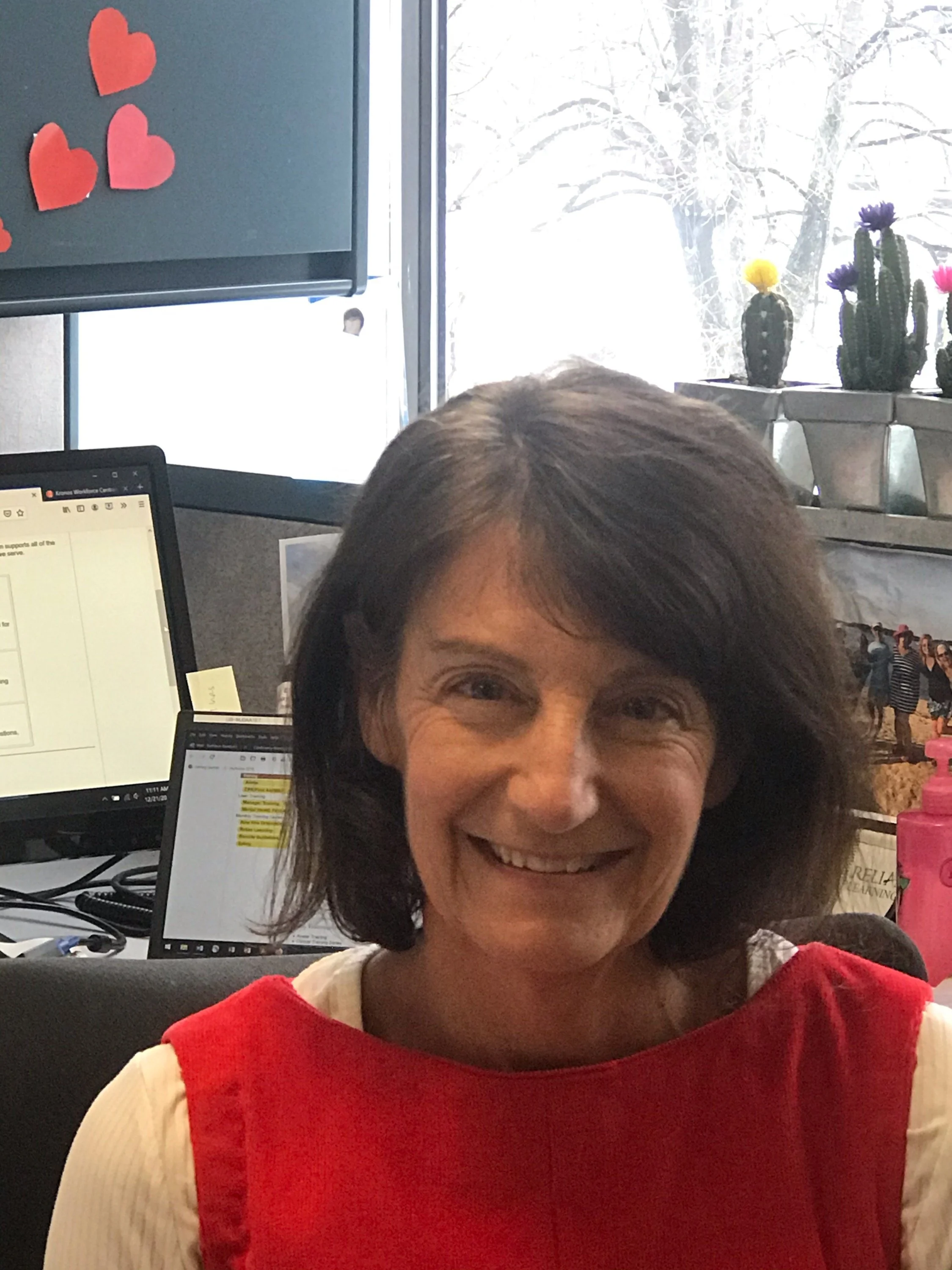 Our CIT Trainers — South Shore Crisis Intervention Team Training and ...