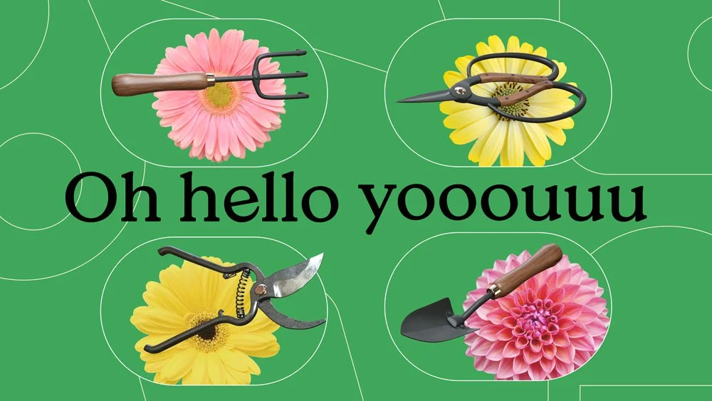 Grommet Brand Launch Animation | Projects — Buff Motion