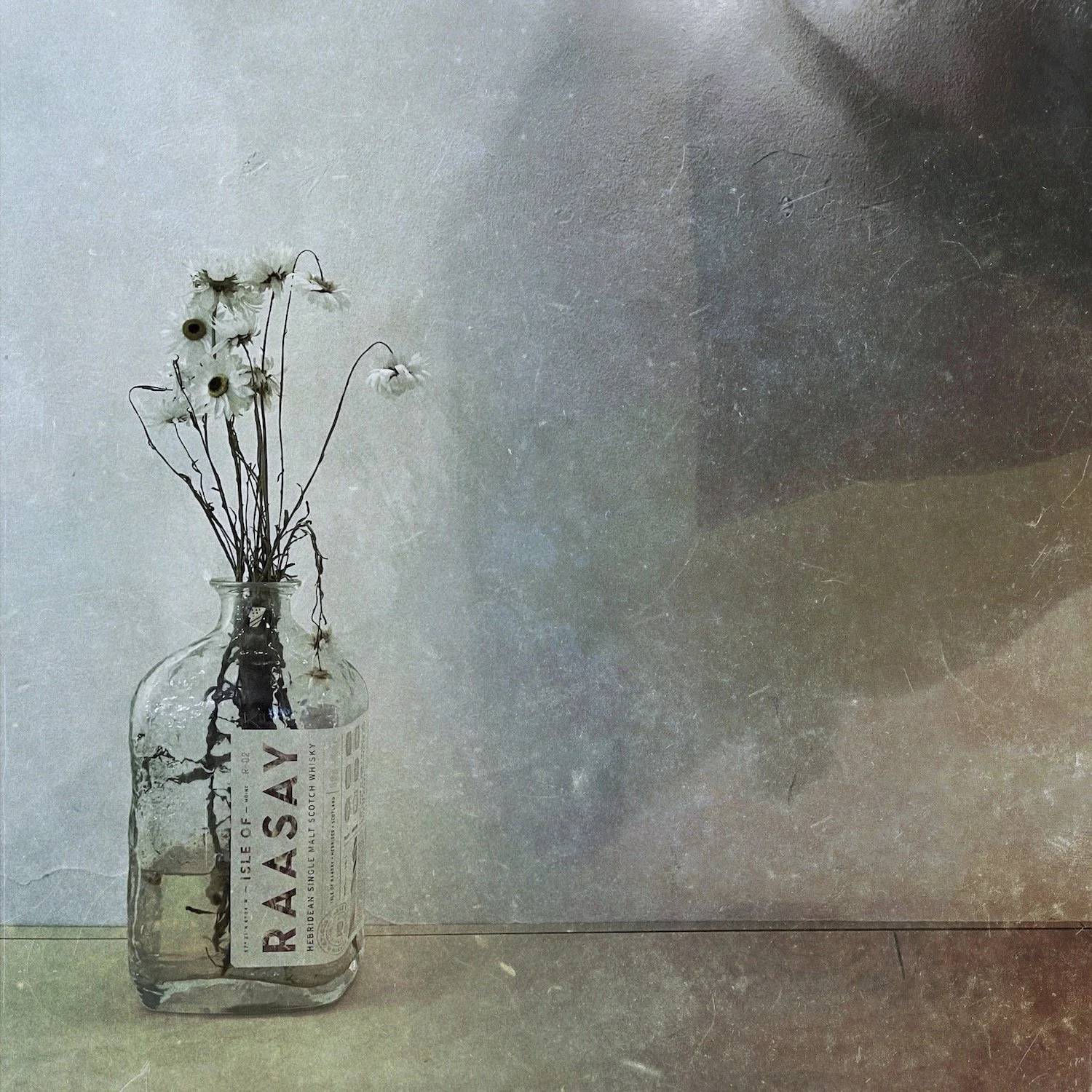 Why you should practice micro (not macro) photography — The World Of ...