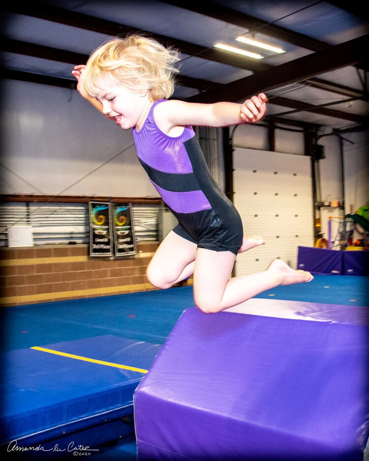 Dominique Moceanu Gymnastics Center