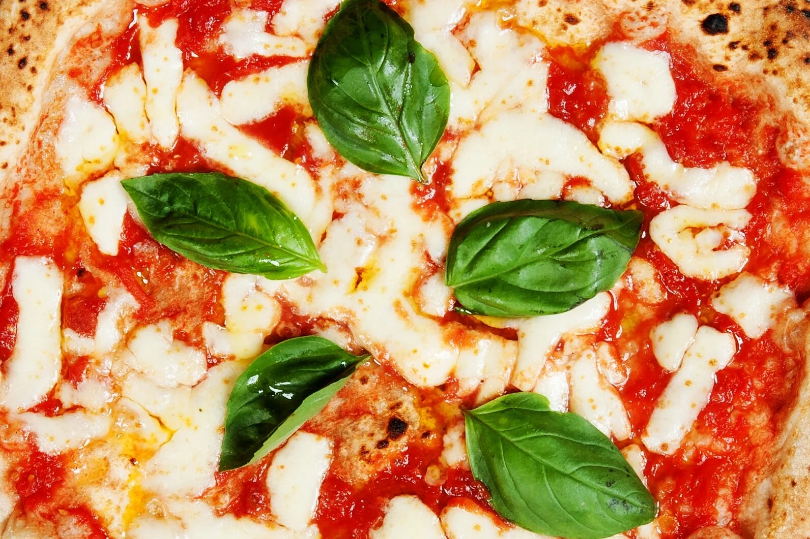Song'E Napule Pizzeria & Trattoria