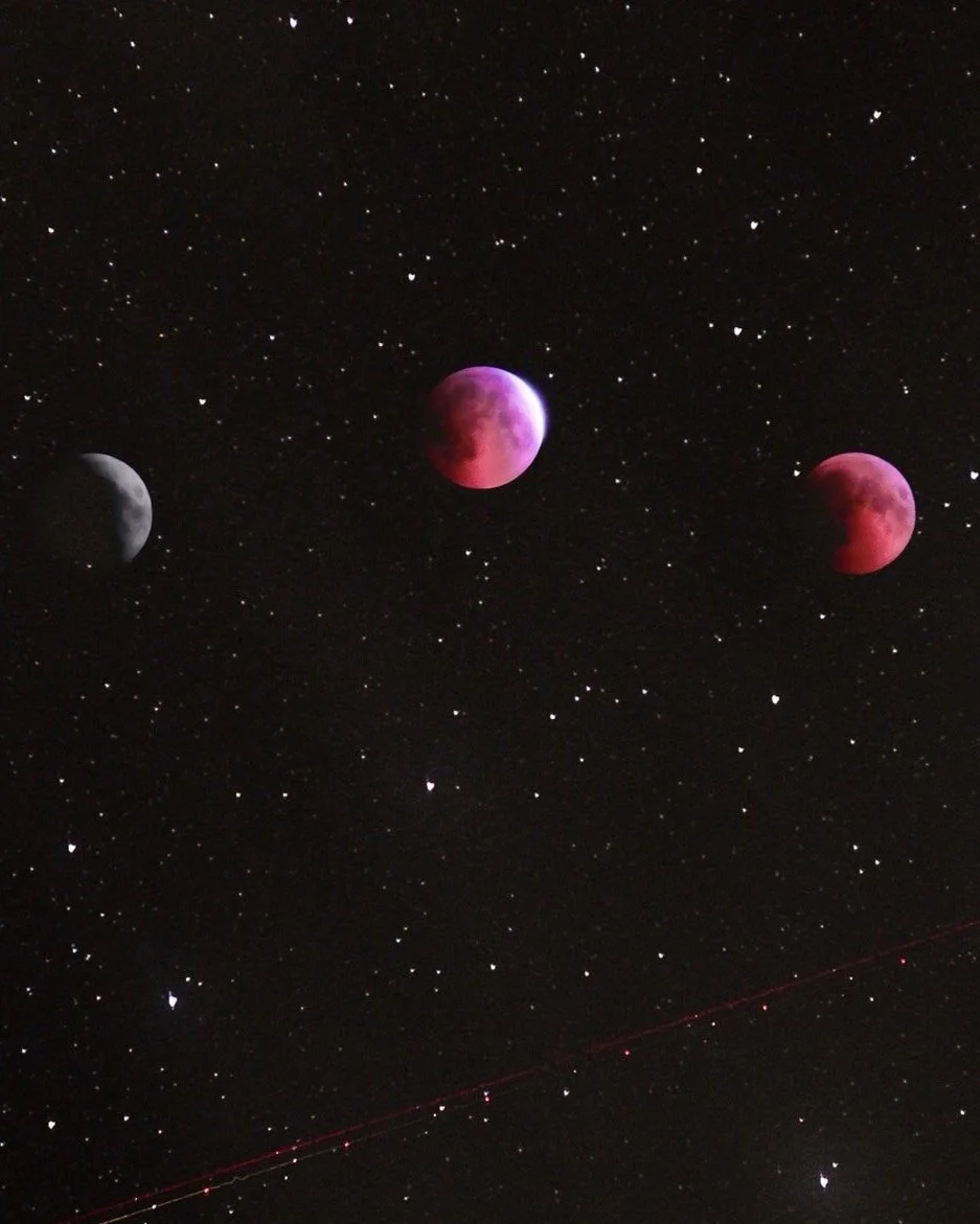 Contact David Berkson — Astrology by David Berkson