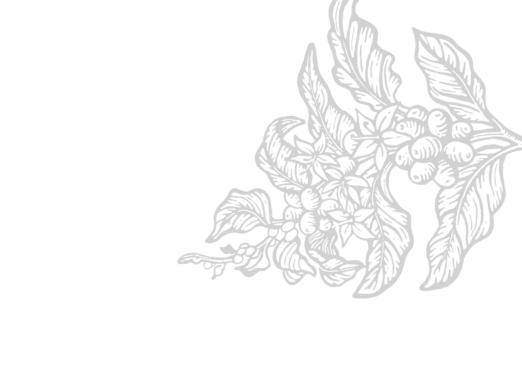 Cannon Coffee — Hagerstown’s Best Coffee Shop