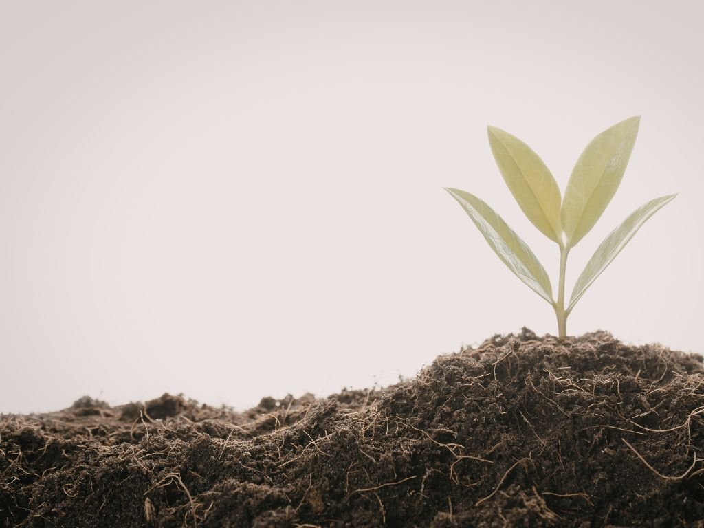 (5) A Healthy Church: God’s Design & Our Responsibility — Emmanuel ...