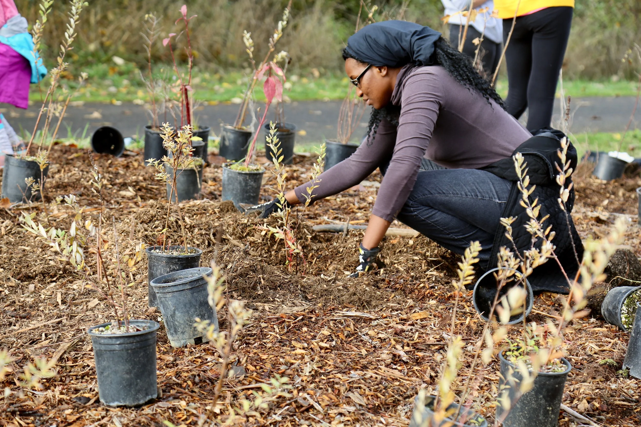 LCNN Event List — Lower Columbia Nature Network