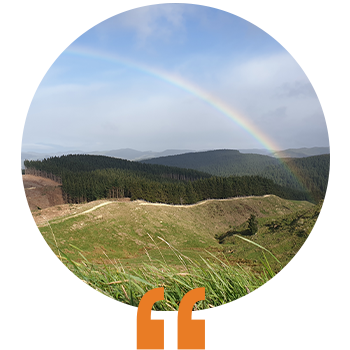 Forest Management Group