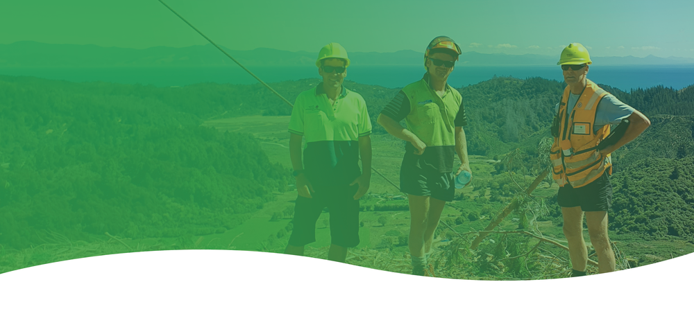 Forest Management Group