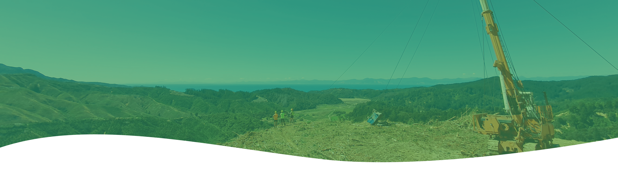 OUR NEWS — Forest Management Group