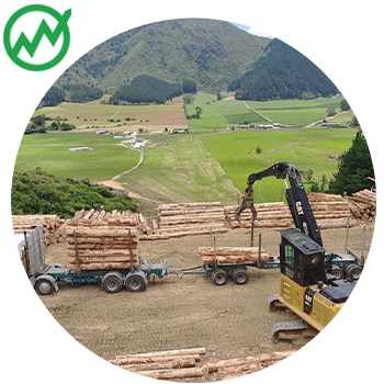 Forest Management Group